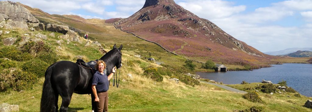 Pony Trekking - Bwlchgwyn Farm