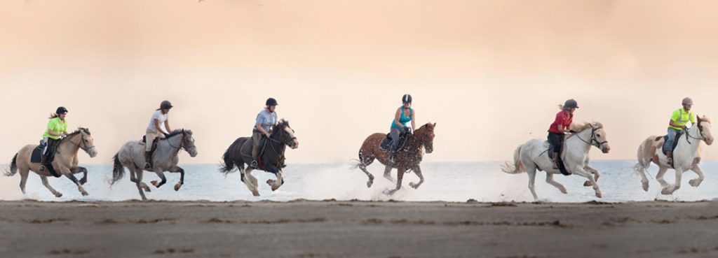 Pony Trekking - Bwlchgwyn Farm